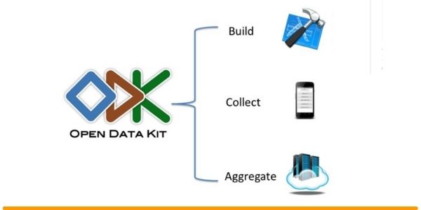 Training On Mobile Data Collection Using Odk Information Technology
