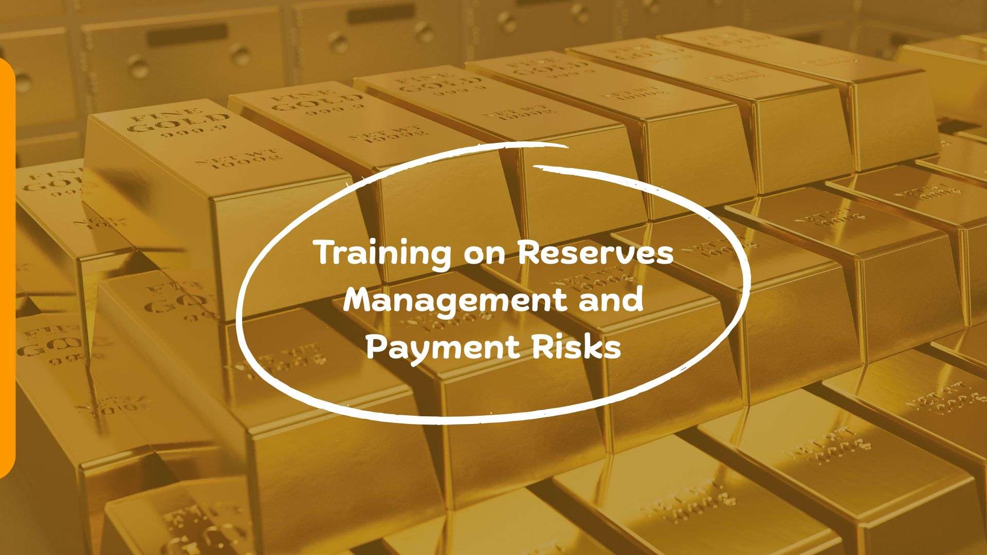 Training on Reserves Management and Payment Risks | Devimpact Institute