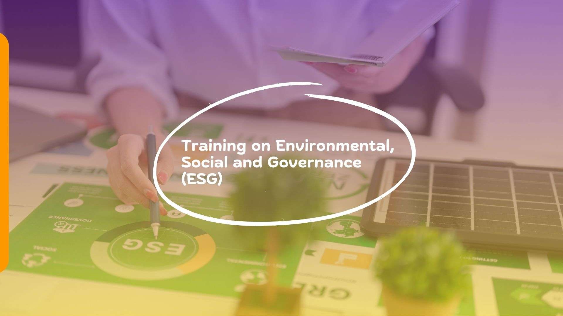 Training on Environmental and Social Safeguards | Devimpact Institute